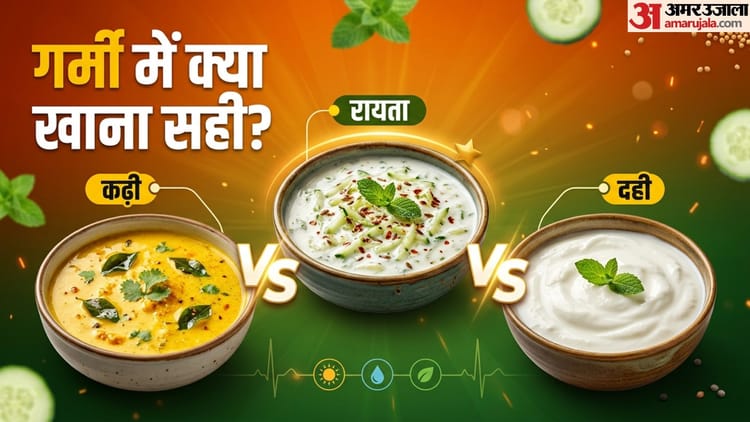 Kadhi Vs Raita Vs Curd:कढ़ी, रायता या दही? गर्मी में शरीर को सबसे ...