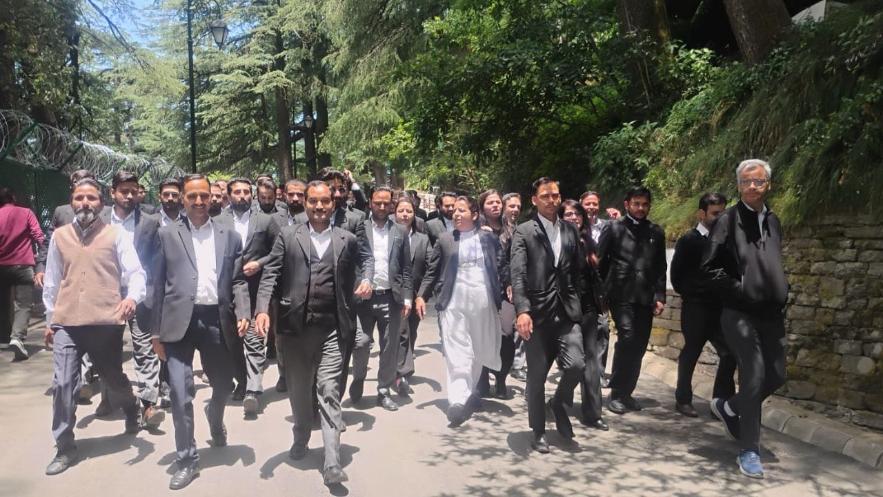 Shimla News:सीएम के बाहर आकर बात करने पर अड़े अधिवक्ता, सचिवालय के बाहर ...
