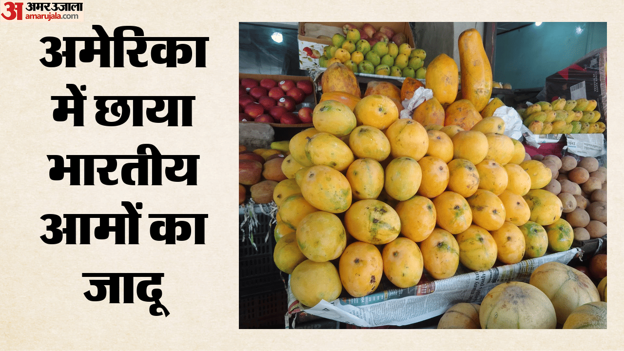 अमेरिका में छाया भारतीय आमों का जादू:दो घंटे में बिका पूरा स्टॉक ...