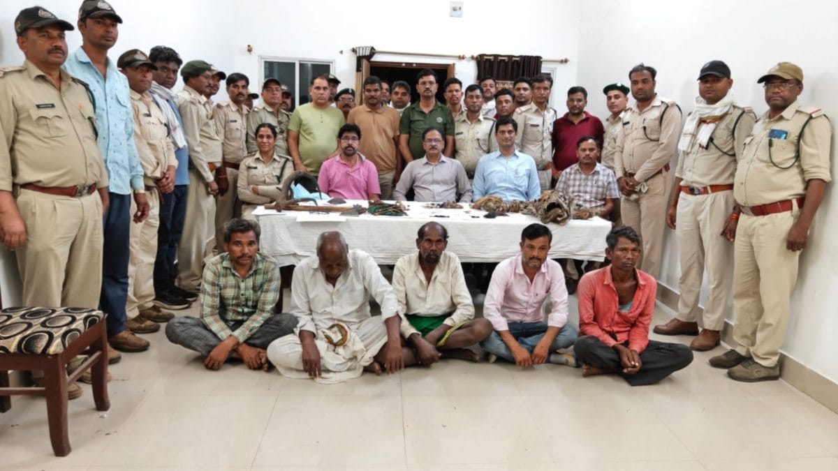 Mp News:49 हजार नशीली कफ सिरप कांड में बड़ा खुलासा, 30 हजार का इनामी ...