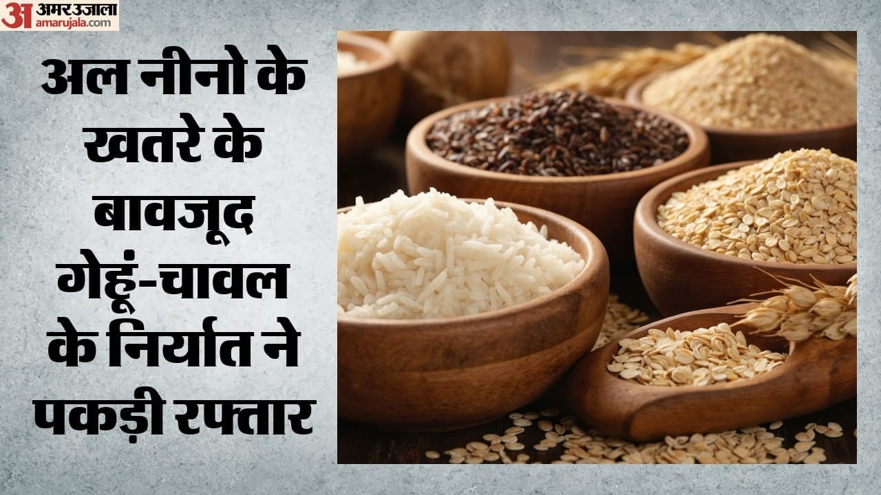 Wheat-rice Export:बंपर पैदावार और आक्रामक खरीद से भरे गोदाम, देश में ...