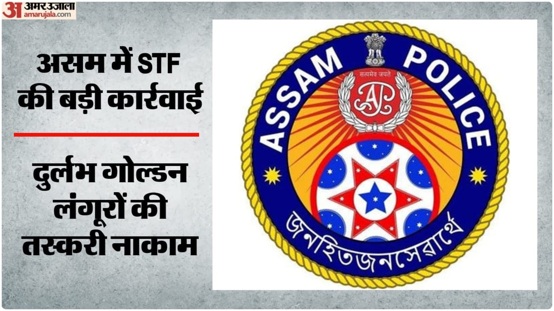 Assam Police:असम में वन्यजीव तस्करी गिरोह का भंडाफोड़, एसटीएफ ने आठ ...