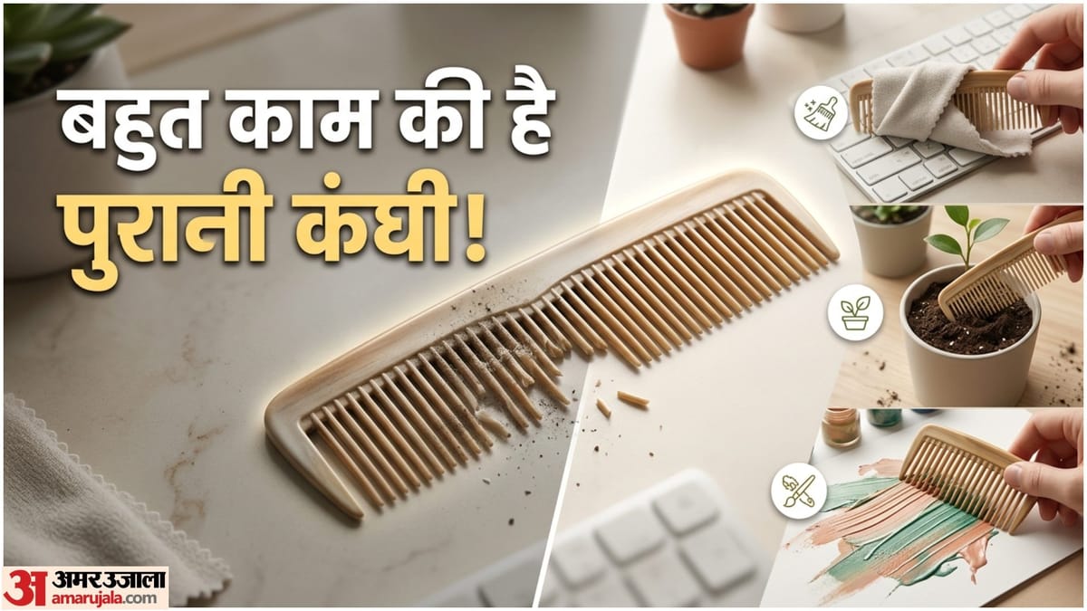 Old Comb Reuse Ideas:पुरानी और टूटी कंघी को फेंक देते हैं? पहले जान लें ...