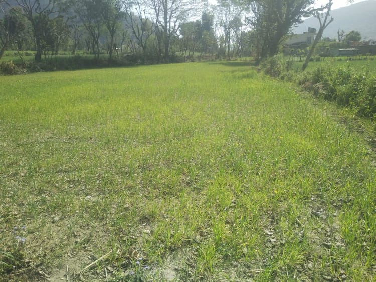 Kuhal Destroyed In Sataun By Nh Malba- Farmers Facing Problem - Sirmour ...