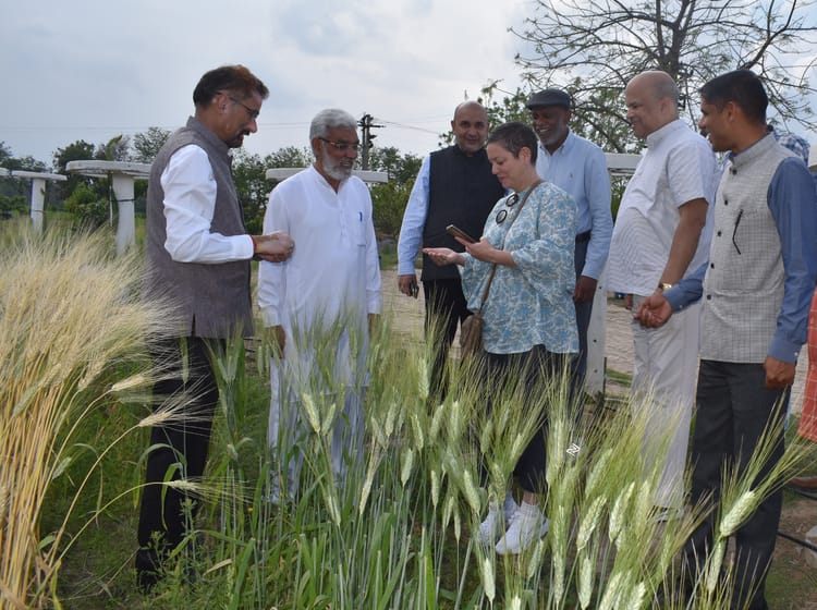 Now Sri Lanka Has Turned Towards Natural Farming, Acharya Devvrat's Natural Farming Model Will ...