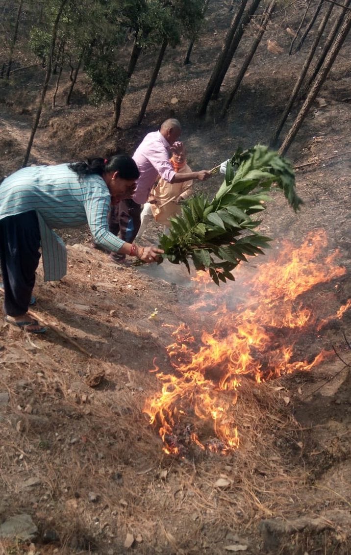 Forest Fire In Paisiya - Almora News - Almora News:पैसिया में आबादी तक ...