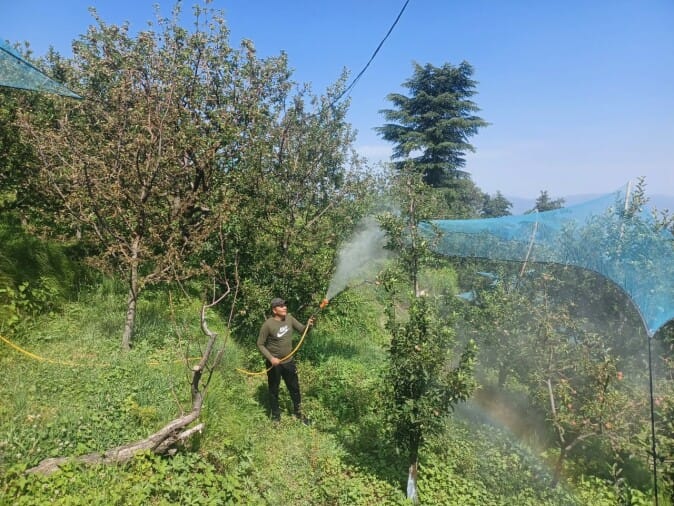Spray Started In Apple Orchards - Mandi News - Mandi News:सेब के बगीचों में स्प्रे का दौर शुरू