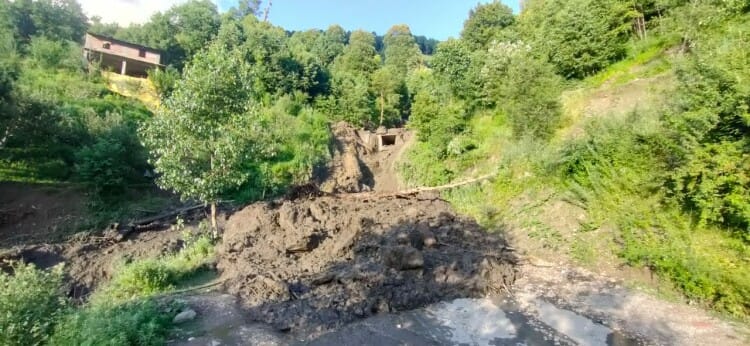 Kullu News:बुरगणी, खणीपांद नाले में बादल फटने से जापानी फल के पौधे बहे ...