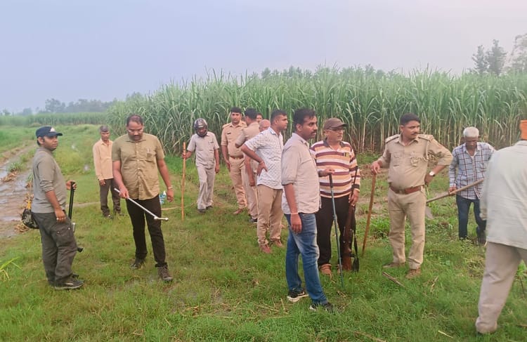 Swelling Of Elephant Sulochana's Leg Did Not Subside, Combing Is Not ...