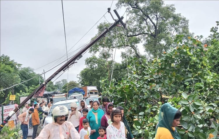 Tree Fell In Front Of Naugaja Pir Due To Rain, Jammed - Saharanpur News ...