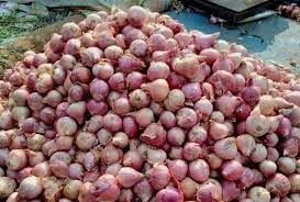 Govt To Begin Procurement Of 5 Lakh Tonnes Of Rabi Onion In 2-3 Days To ...