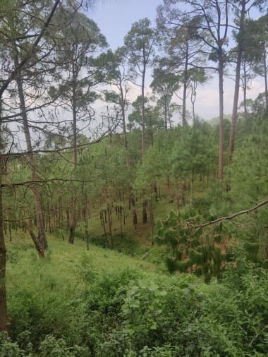 Almora News:दावे किए हजार, स्टेडियम कब बनेगा सरकार - No Stadium In ...