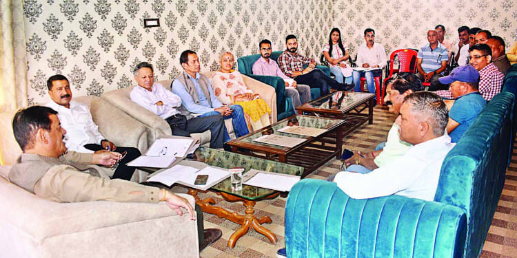 Kullu News:दशहरा उत्सव में नहीं भिनभिना पाएंगी मक्खियां, लगेंगे फ्लाई ...