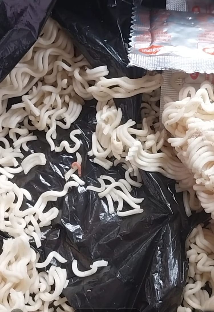 Live Crawling Insects Found In Maggi Noodles Packet - Aligarh News ...