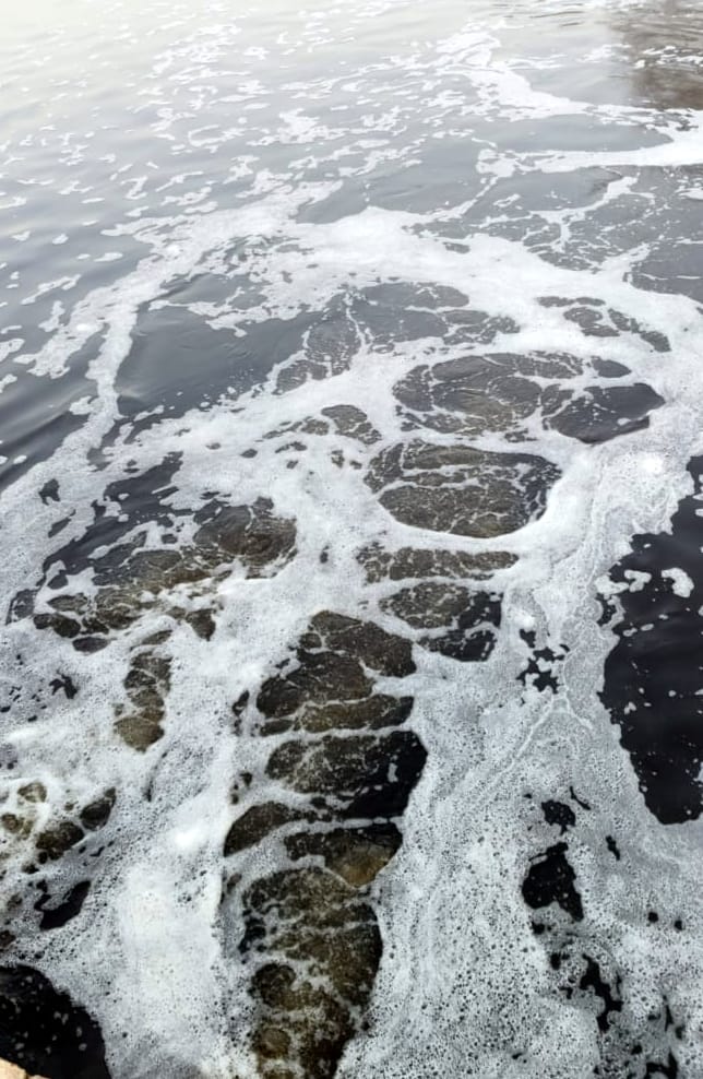 The Officer Said, We Only Have The Power To Impose Fines, Nothing Else ...