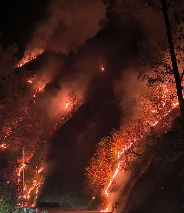 Forest Fire On Ranikhet-khairna Highway, Glass Panes Of Many Vehicles ...