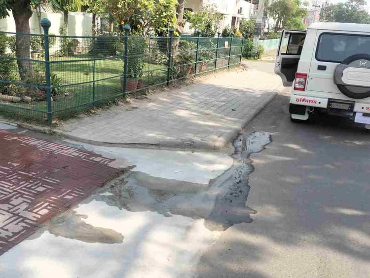 Hsvp Will Seize The Plot For Wastage Of Drinking Water And Damage To ...