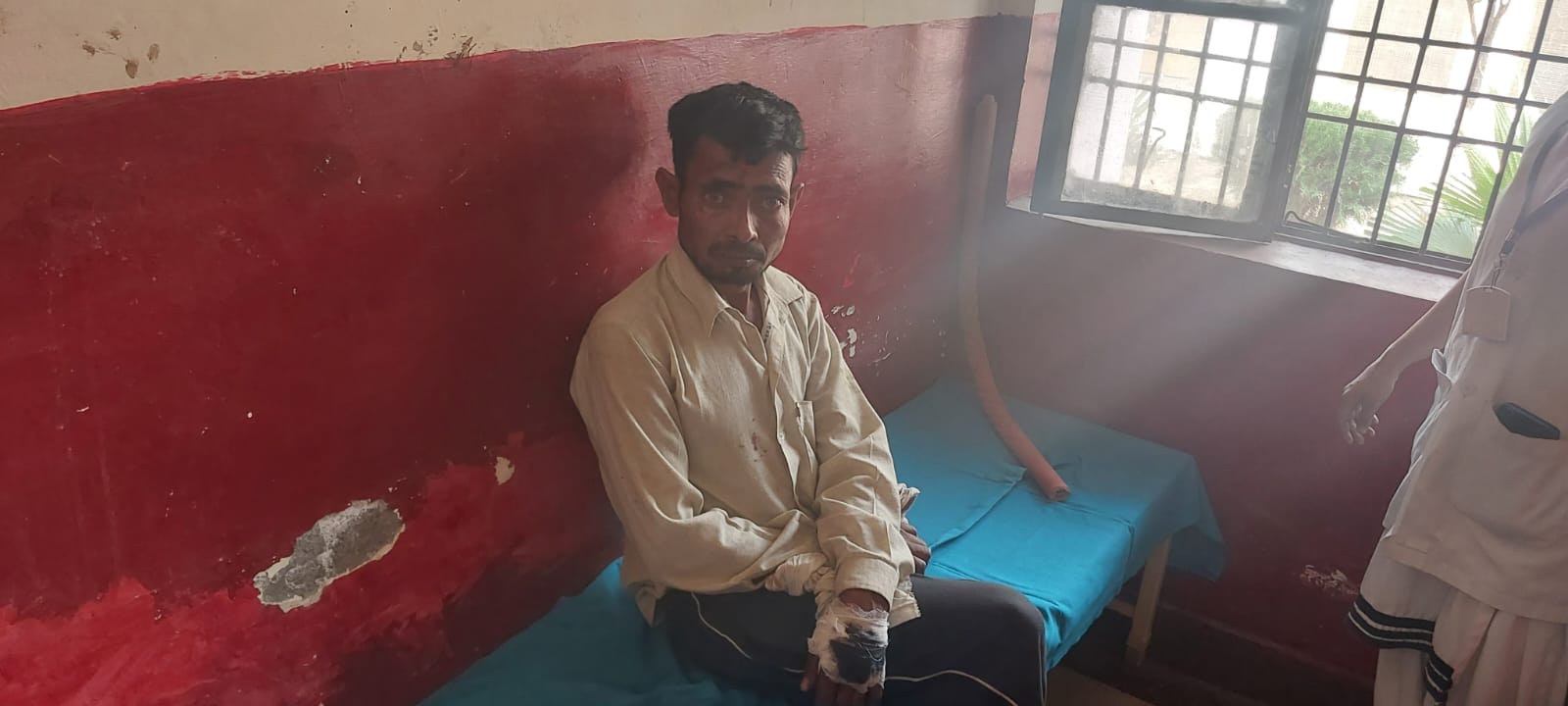 Worker Injured In Leopard Attack - Pilibhit News - Pilibhit News:तेंदुए ...