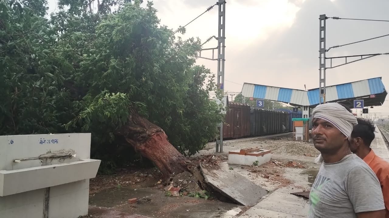 Tree Fell On Goods Train, Rail Traffic Affected - Shahjahanpur News ...