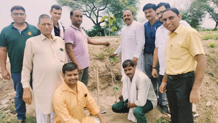 Sain Samaj Charitable Trust Planted Saplings - Rohtak News - Rohtak ...