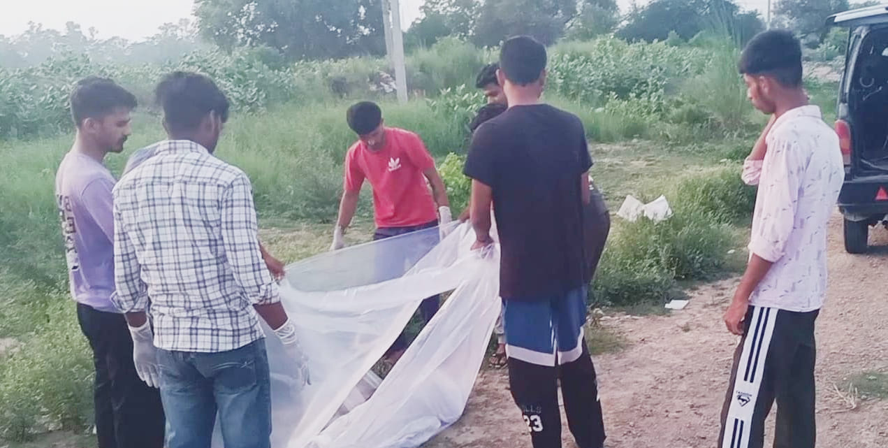 In Tohana, An Elderly Woman Was Mauled To Death By Ferocious Dogs ...