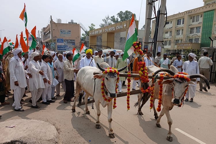 Azad Palawan Arrived With Bulls To File Nomination - Jind News - Jind ...