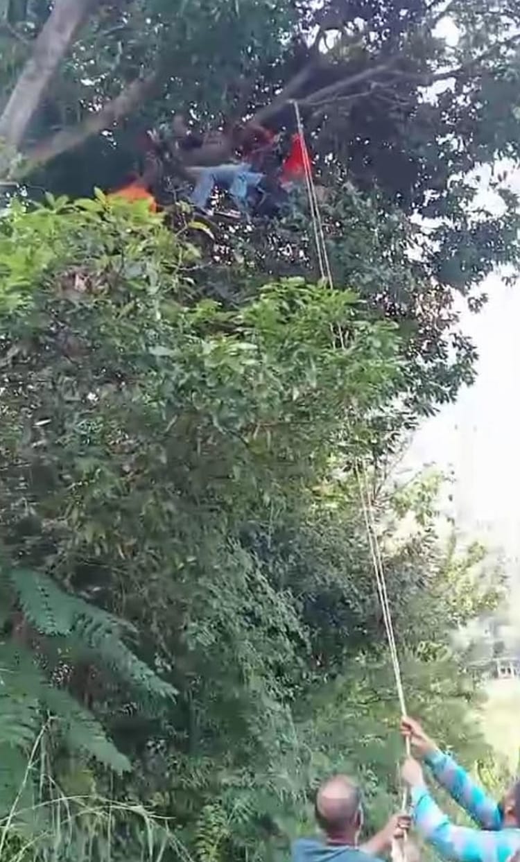 Paraglider Stuck In Tree In Dramman Panchayat Due To Change In Wind ...