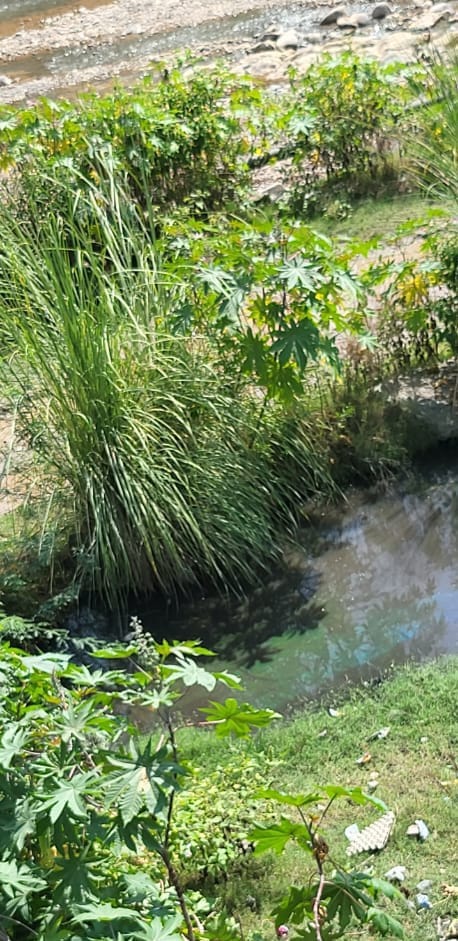 Polluted Water Of Markanda River - Sirmour News - Sirmour News:मारकंडा ...