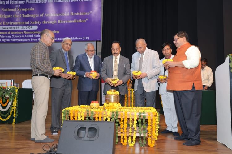 Clean Maintenance And Balanced Diet Are Essential For A Healthy Animal ...