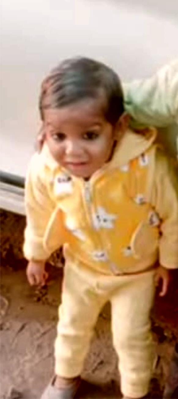 Baalak Ko Kutton Ne Nonch-nonchakar Maar Daala - Mathura News - Mathura ...