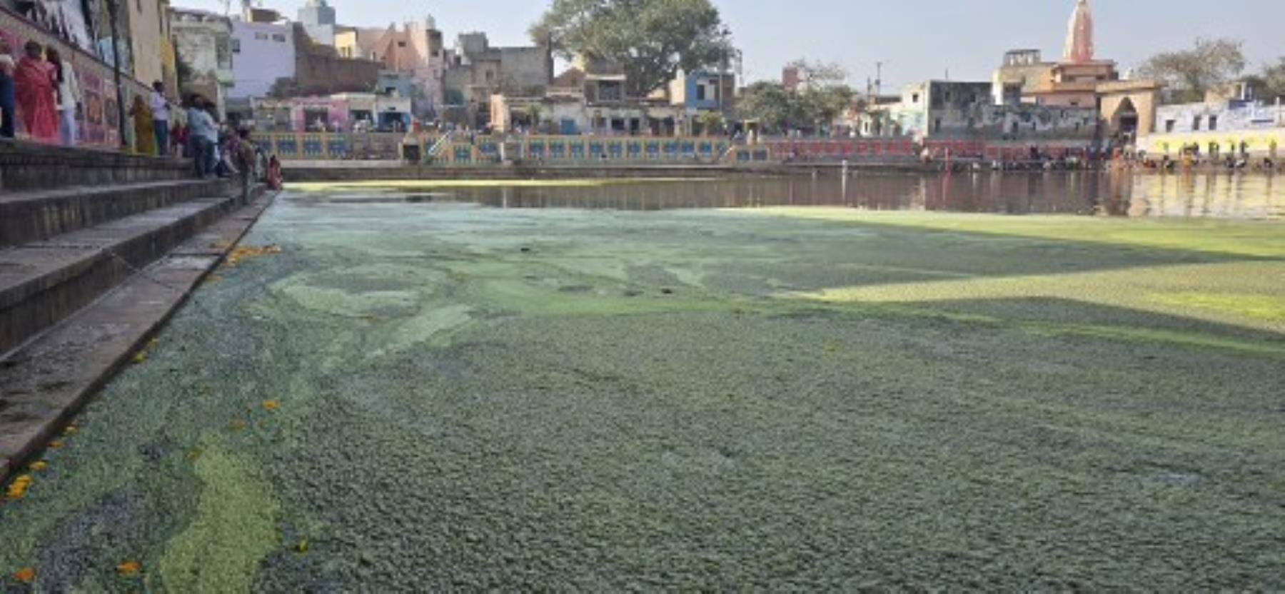 Up:गोवर्धन के राधाकुंड में नहाते समय डूबा 19 वर्षीय युवक, दोस्तों के ...