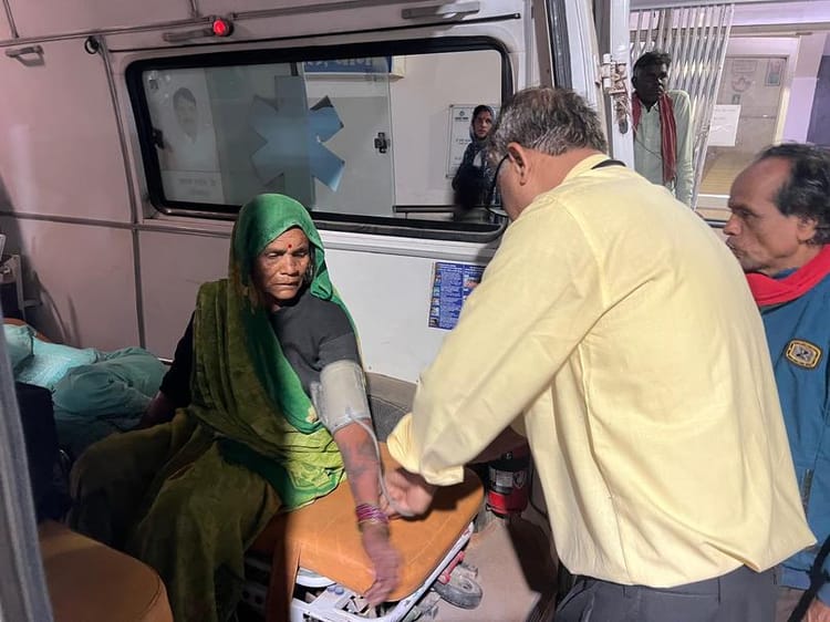 Bees Attacked In Dal Baati Programme 10 People Injured In Saagr - Madhya Pradesh News - Sagar ...