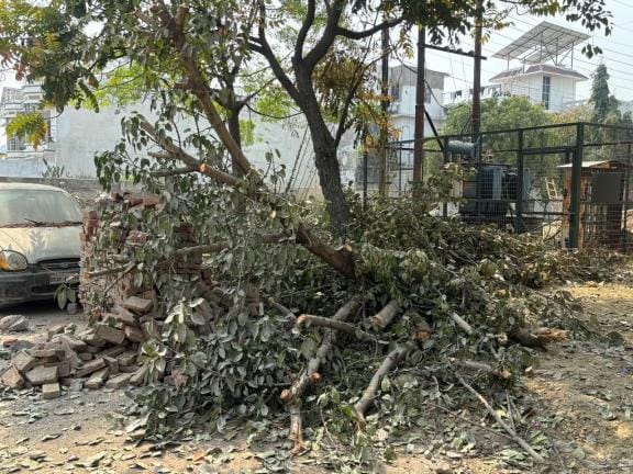 Builder Cuts Green Trees In Vrindavan Colony - Lucknow News - Lucknow ...