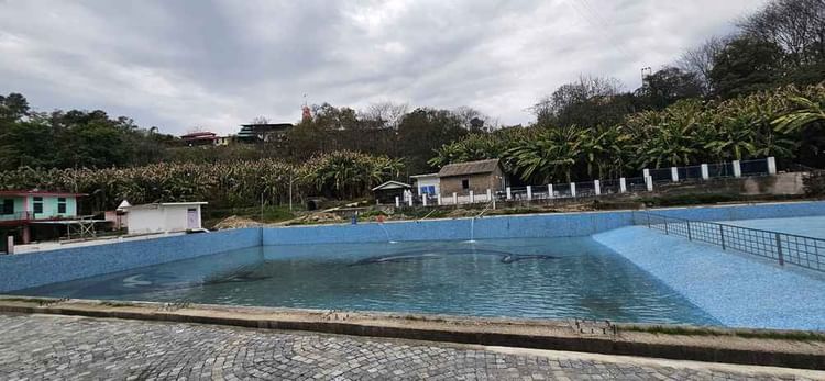 Mahapuja Of 500 Shivalingas Will Be Held Simultaneously In Shiv Puri ...