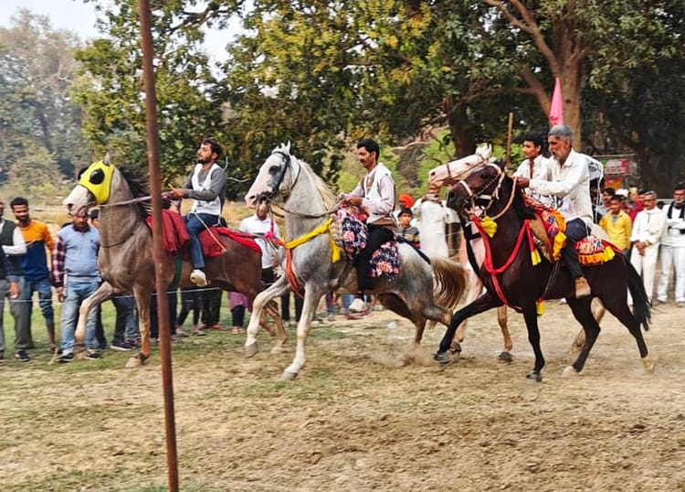 Amethi's Pappu's Horse Ran The Fastest - Amethi News - Amethi News:सबसे ...