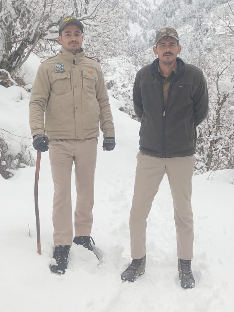 Forest Guards Patrolling The Forests To Protect Trees - Chamba News ...