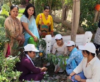 World Forestry Day Celebrated By Planting Trees - Jhajjar/bahadurgarh ...