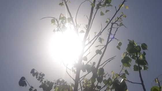 Kota Weather Forecast Today: Imd Heatwave Alert, Rajasthan Aaj Ka ...