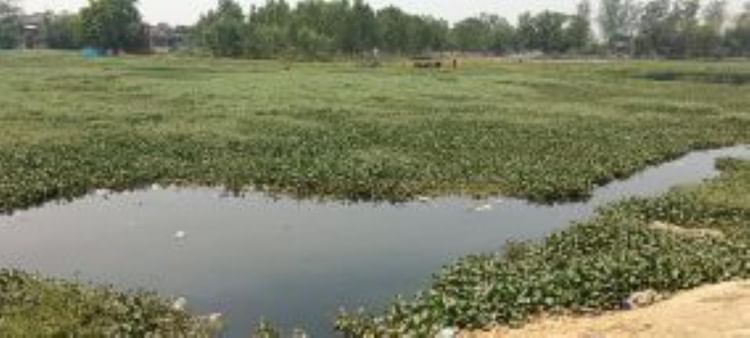 Banned Thai Mangur Fish Farming Was Going On In Dehradun Uttarakhand ...