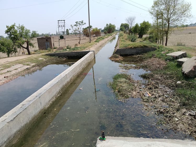 Water Released In Bhakra Canal, Will Provide Relief From Drinking Water ...