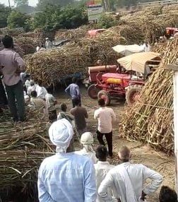 Sugar Mill Gates Are Free, Jammed With Vehicles Loaded With Sugarcane ...