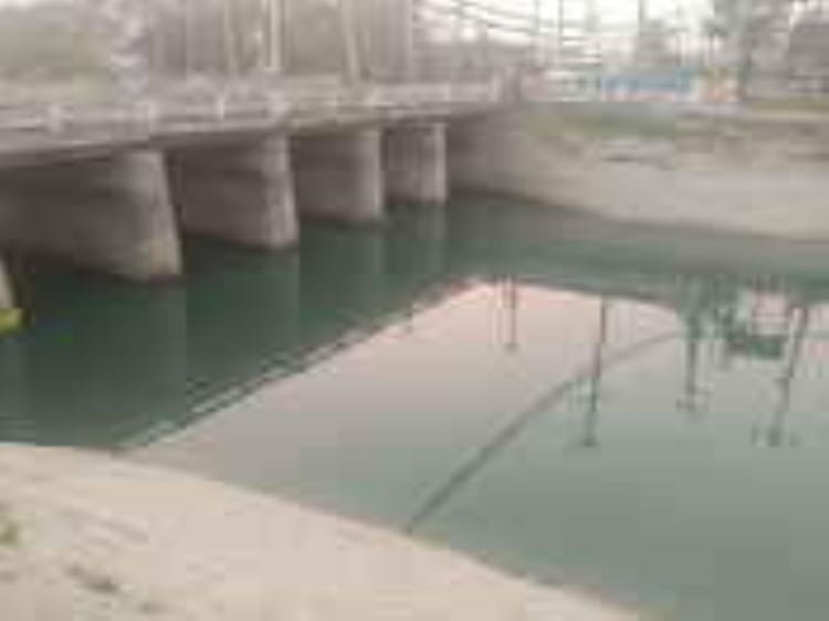 Water Will Come In Bhakra Canal For Irrigation Of Crops After May 20 ...