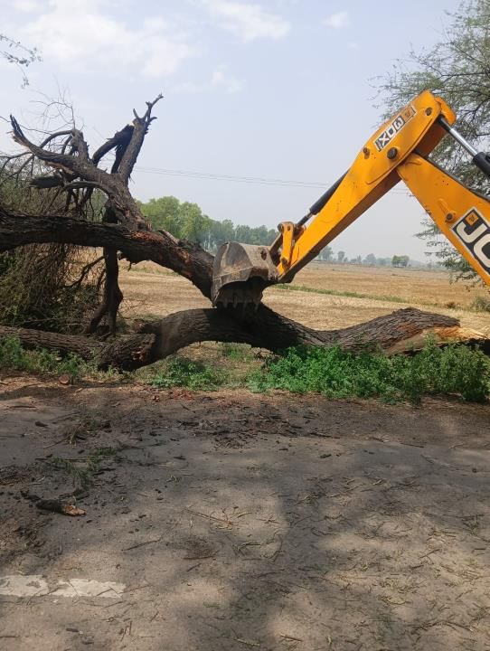 159 Electric Poles, 9 Transformers And 300 Trees Fell In Hansi And ...