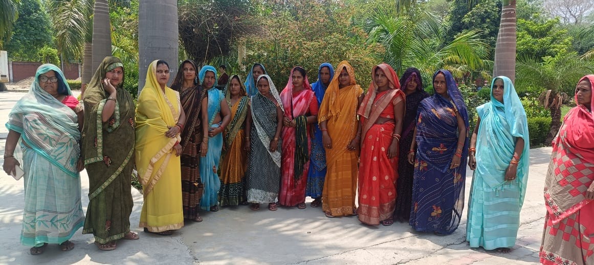 Women Of Dhanicha Malkhanpur Village Are Becoming Self-reliant Through ...