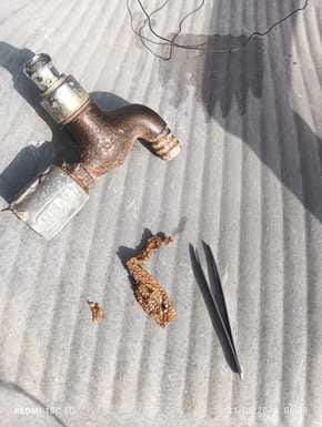 A Strange Thing Like Snake's Skin Came Out Of Drinking Water Tap ...