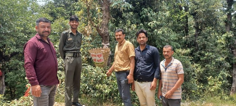 Eco-friendly Dustbins Installed On Dev Kamrunag Marg - Mandi News - Mandi News:देव कमरुनाग मार्ग ...