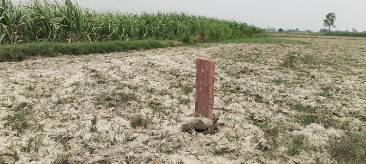 Farrukhabad Link Expressway: 125 Hectares Of Land Will Be Acquired From ...