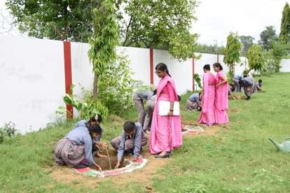 A Massive Plantation Campaign Was Started From Anupshahr And Narora ...