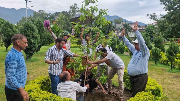 Reasi, Shri Durga Natak Mandi, Janana Park, Tree Plantation - Jammu ...