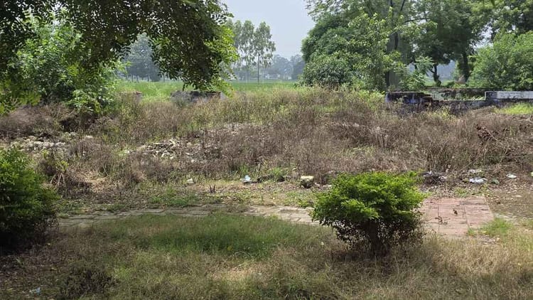 The Roof Of The Primary School In Cm's Village Is Cracking, Children ...